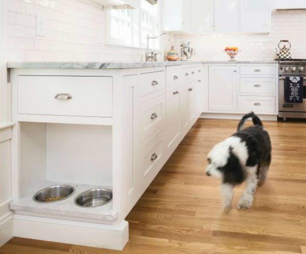Chicago Kitchen Remodeling: Creating Space for the Pets in Your Life